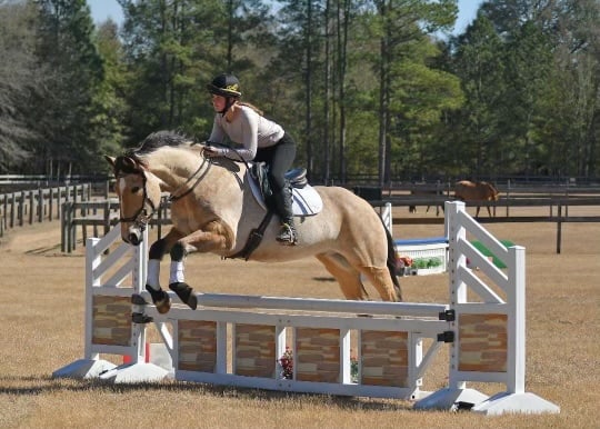 Cross Country Schooling with Portofino Equestrian Center